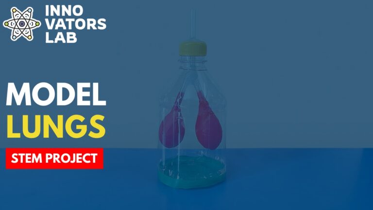 Model Lungs - innovatorslab.org